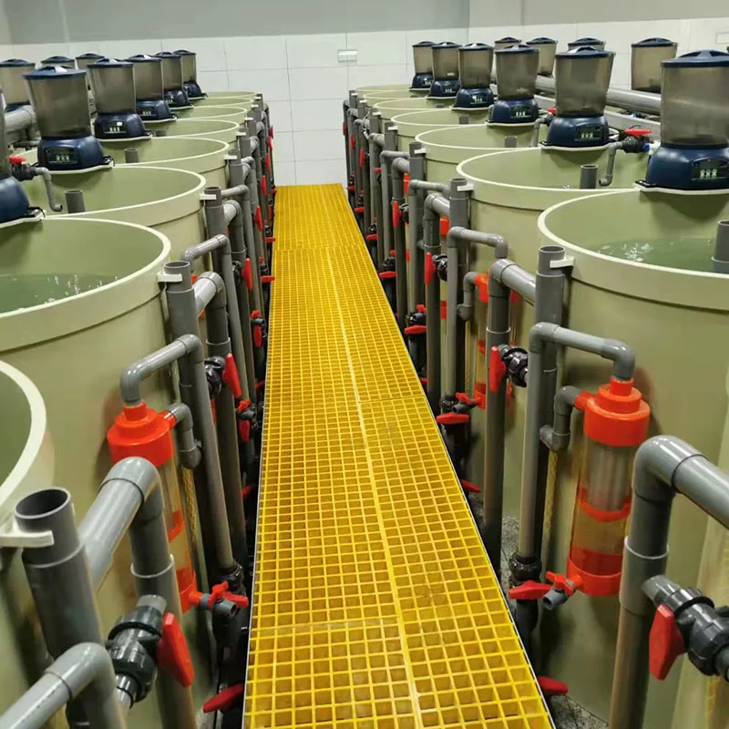 Recirculating Aquaculture System (ras) Equipment For High Density Fish ...