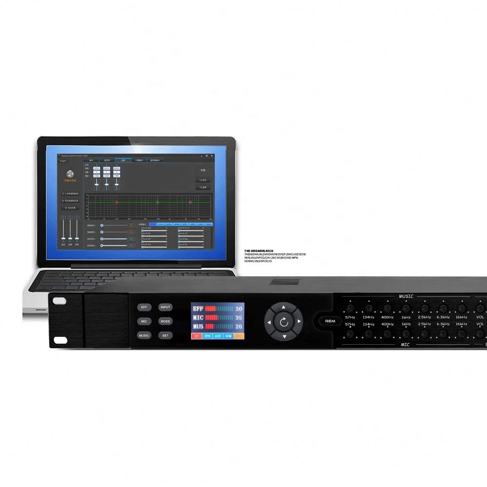 Home Theater Grade Professional Musical Instrument Audio Effector Audio ...