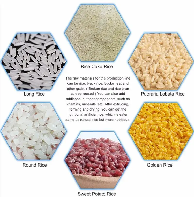 Nutritional Rice Line Artificial Rice Plant Artificial Fortify Rice ...