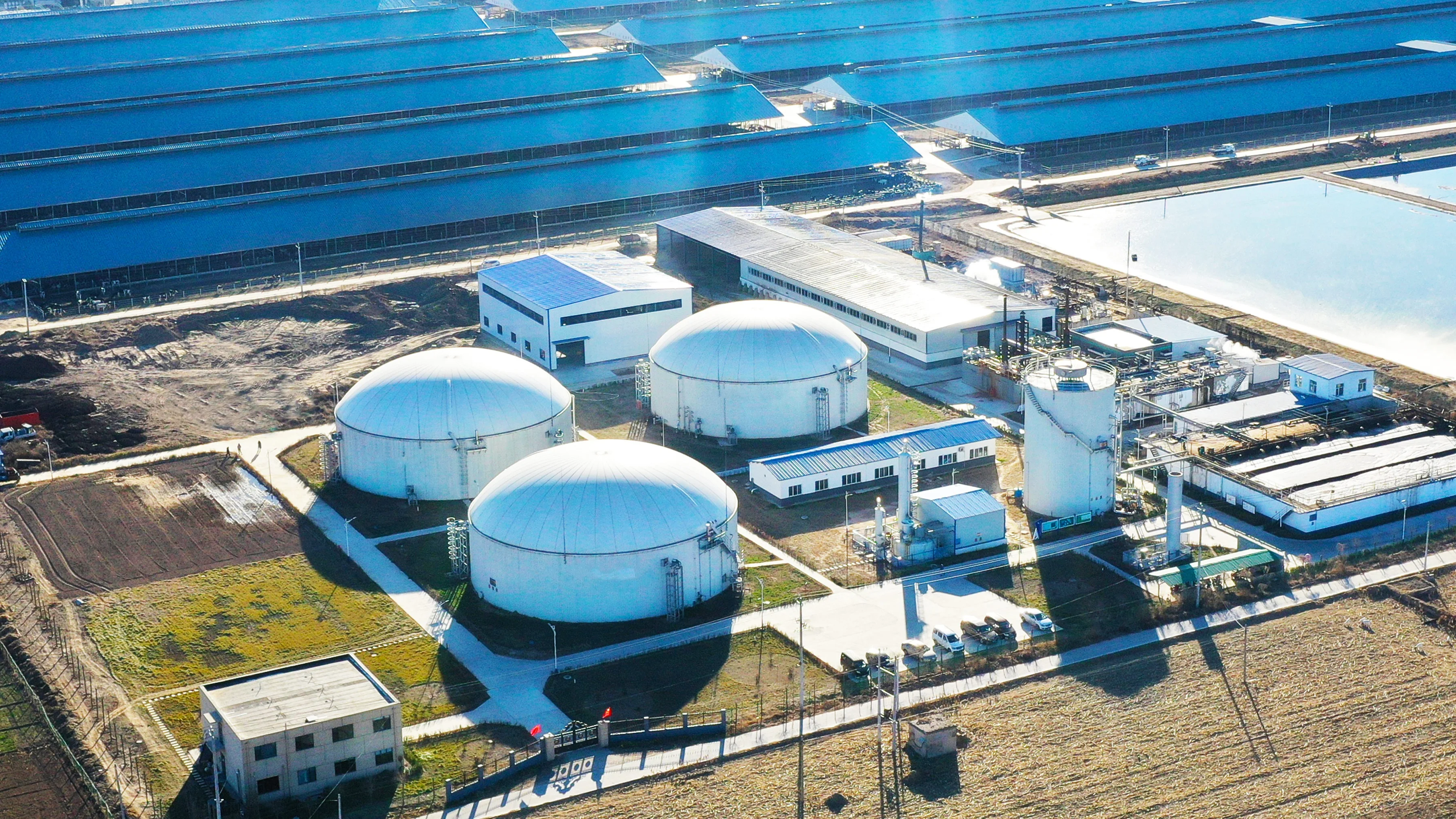 China Family Size Biogas Desulfurizer Filter Stabilize Membrane ...