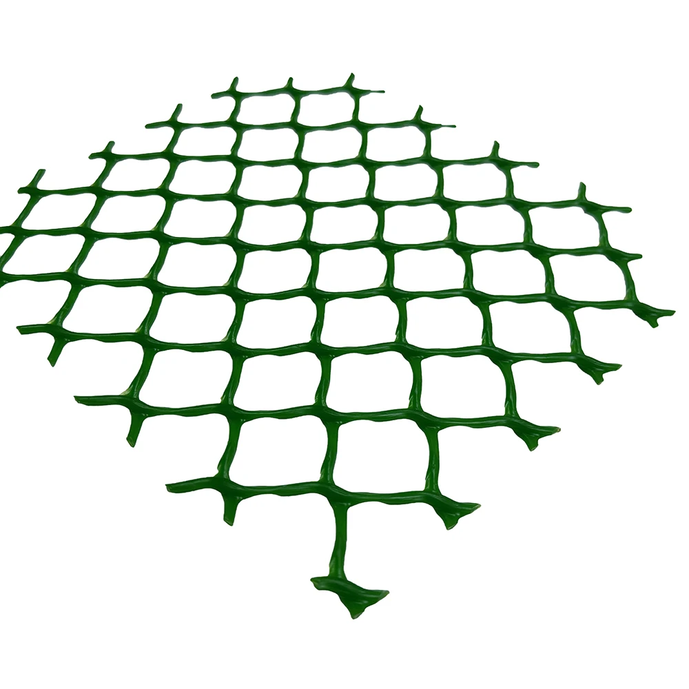 HDPE Geonet Reinforcement Plastic Meshes for Slope Protection