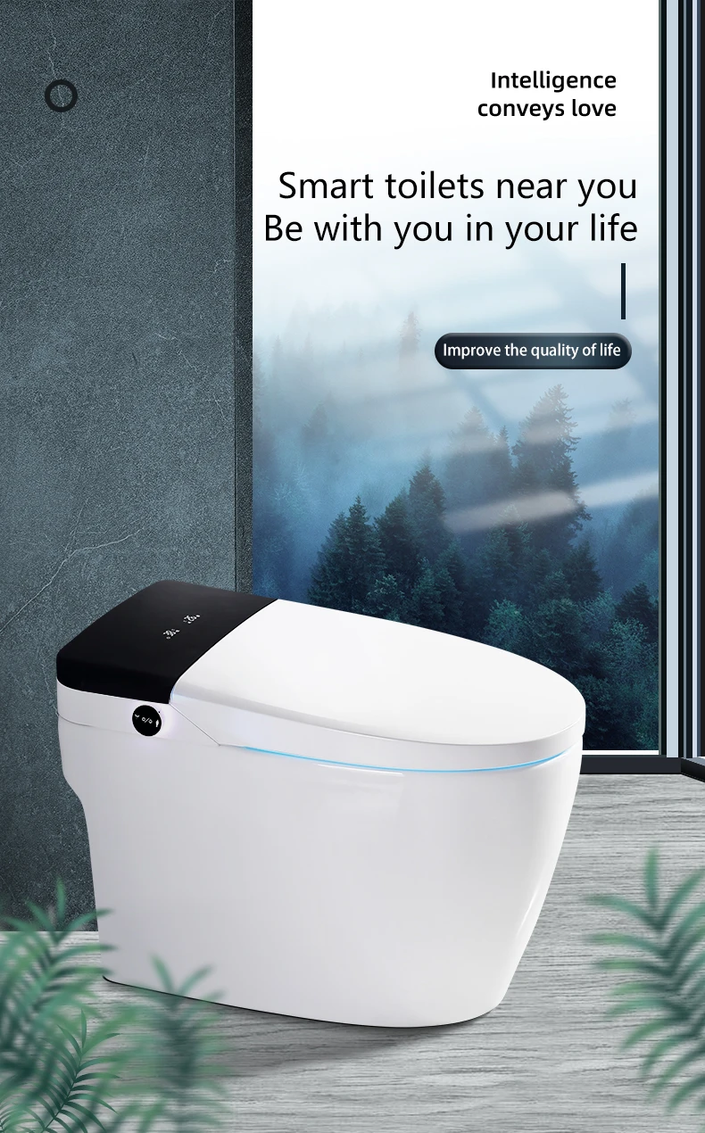 110v/220v Fully Automatic Luxury Modern Design Electronic Wc Toilet ...