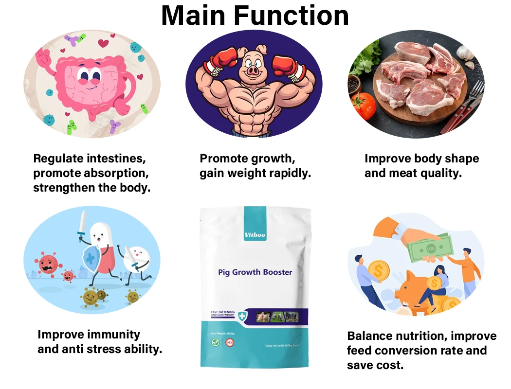 Pig Growth Booster - Enhance Pig Feed with Vitboo Additive