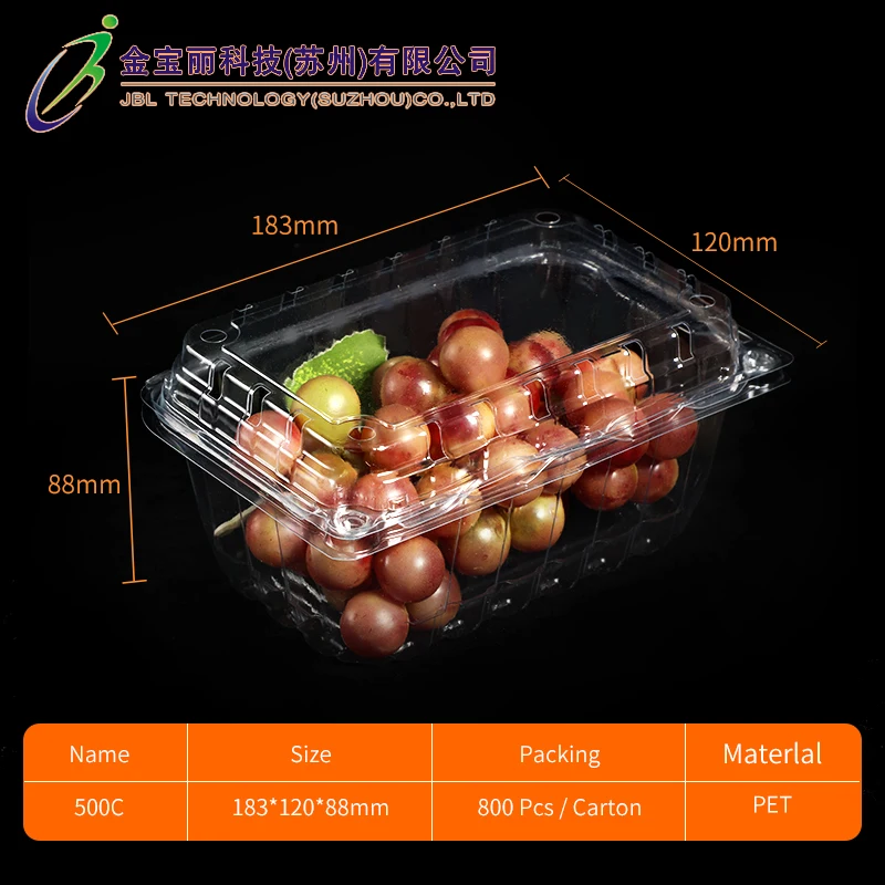 Transparent PET Plastic Containers for Fresh Food Packaging