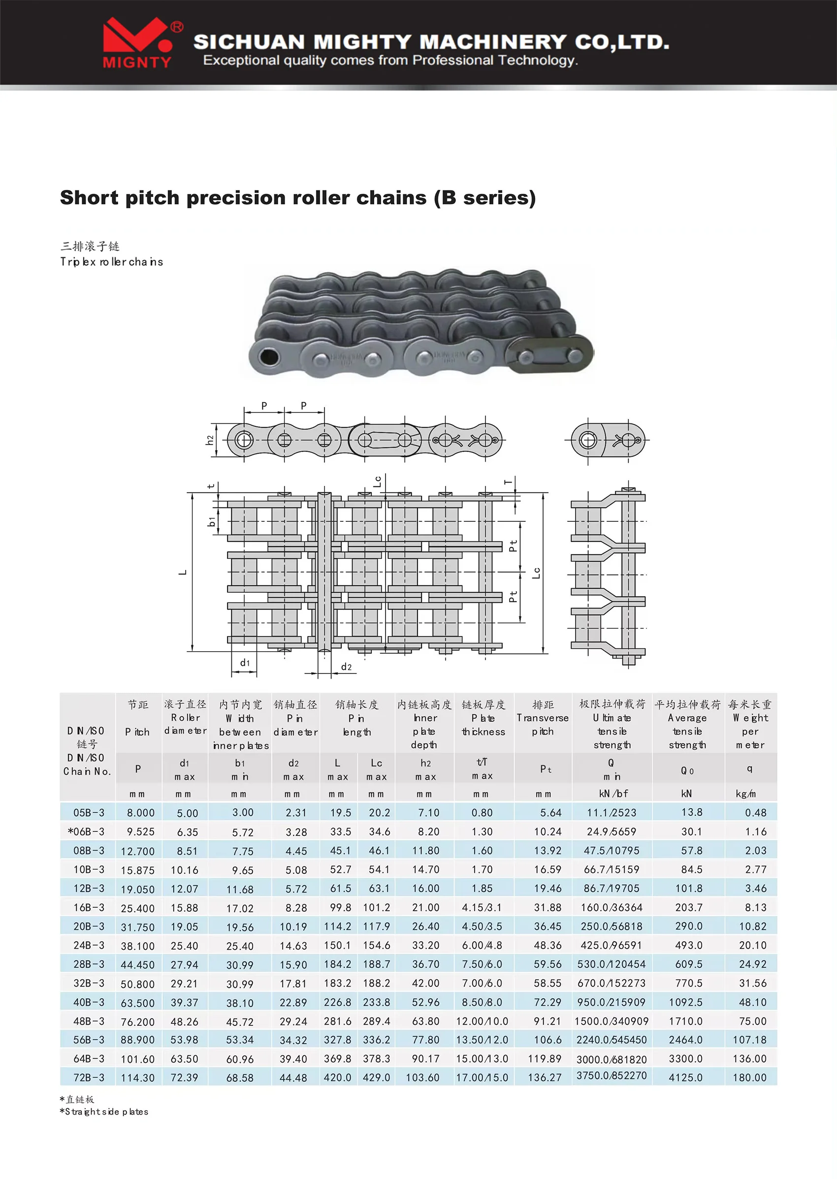Industrial Roller Chain Manufacture Three Row Roller Chain 100-3 ...