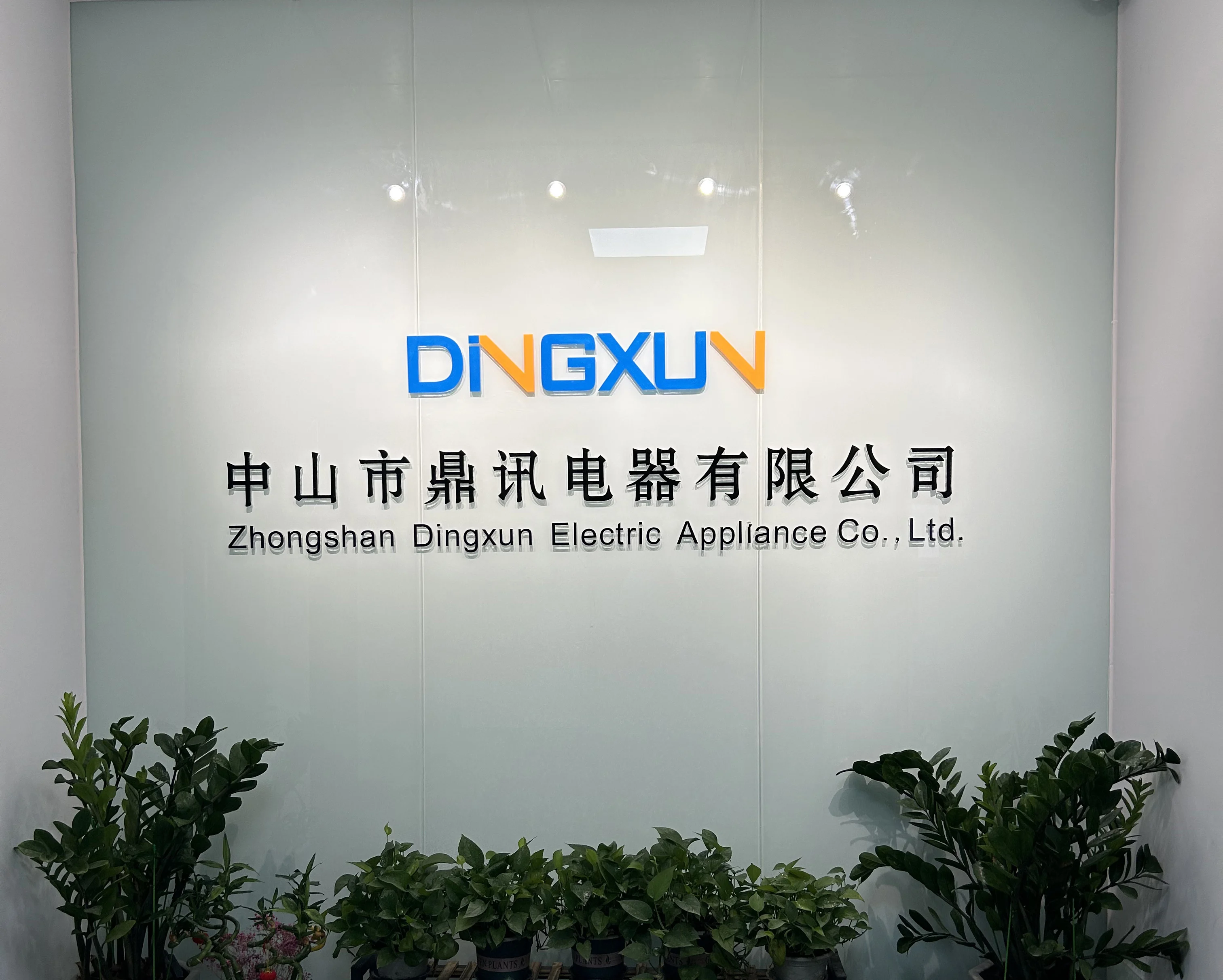 Company Overview - Zhongshan Dingxun Electric Appliance Co., Ltd.