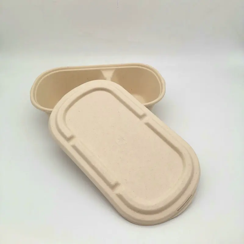 2 Compartment Food Container 1000ml Bento Box with Lid