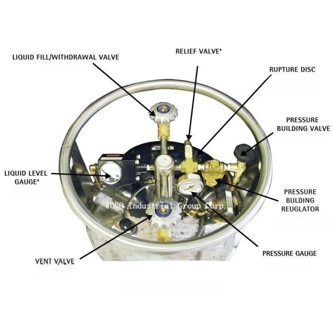 Small Nitrogen Gas Cylinder - YDZ-50 Self-Pressurizing Container