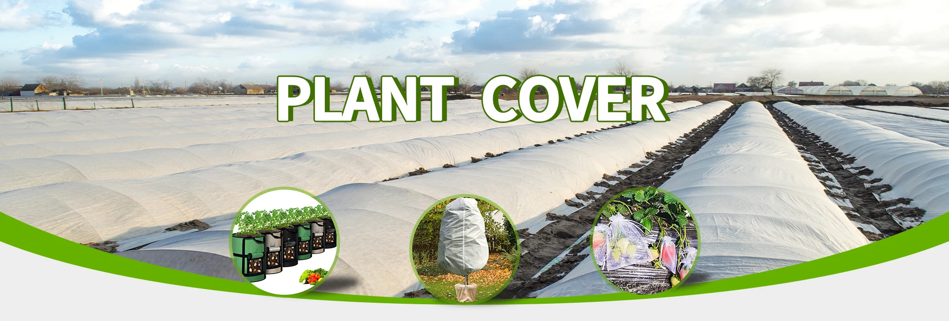 Polypropylene Material Mycelium Inoculate Mushroom Cultivating Grow Bag ...