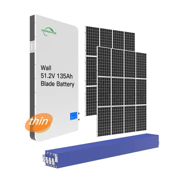 Customised 48v 51.2v 138ah 7kwh Wall-mounted Lifepo4 Byd Blade Battery ...