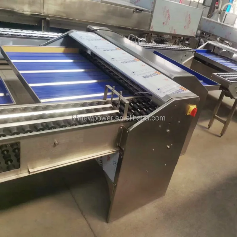 304 Stainless Steel Egg Grading Distinguishing Sorting Machine for ...