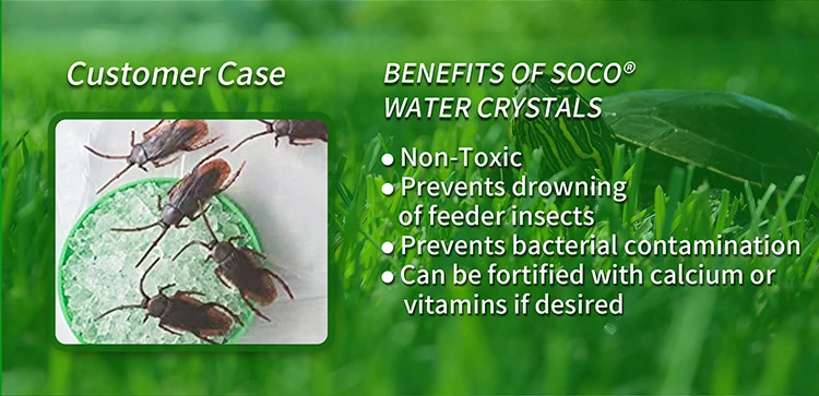 Insect Feeder - Super Absorbent Polymer for Crickets
