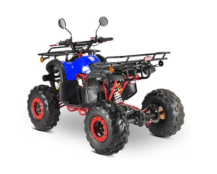 Racing 2000w 60v Electric Atv Electric Quad Bike Differential Motorbike ...