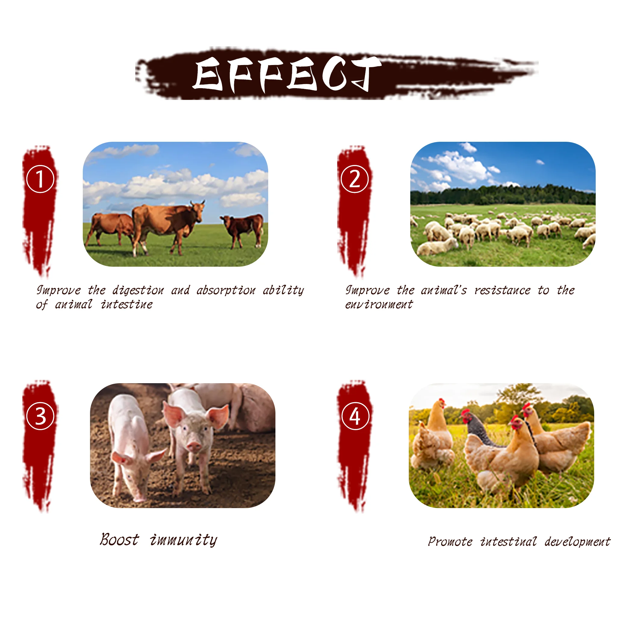 High Quality Farm Animal Feed Additives Growth Booster Improve Animal ...