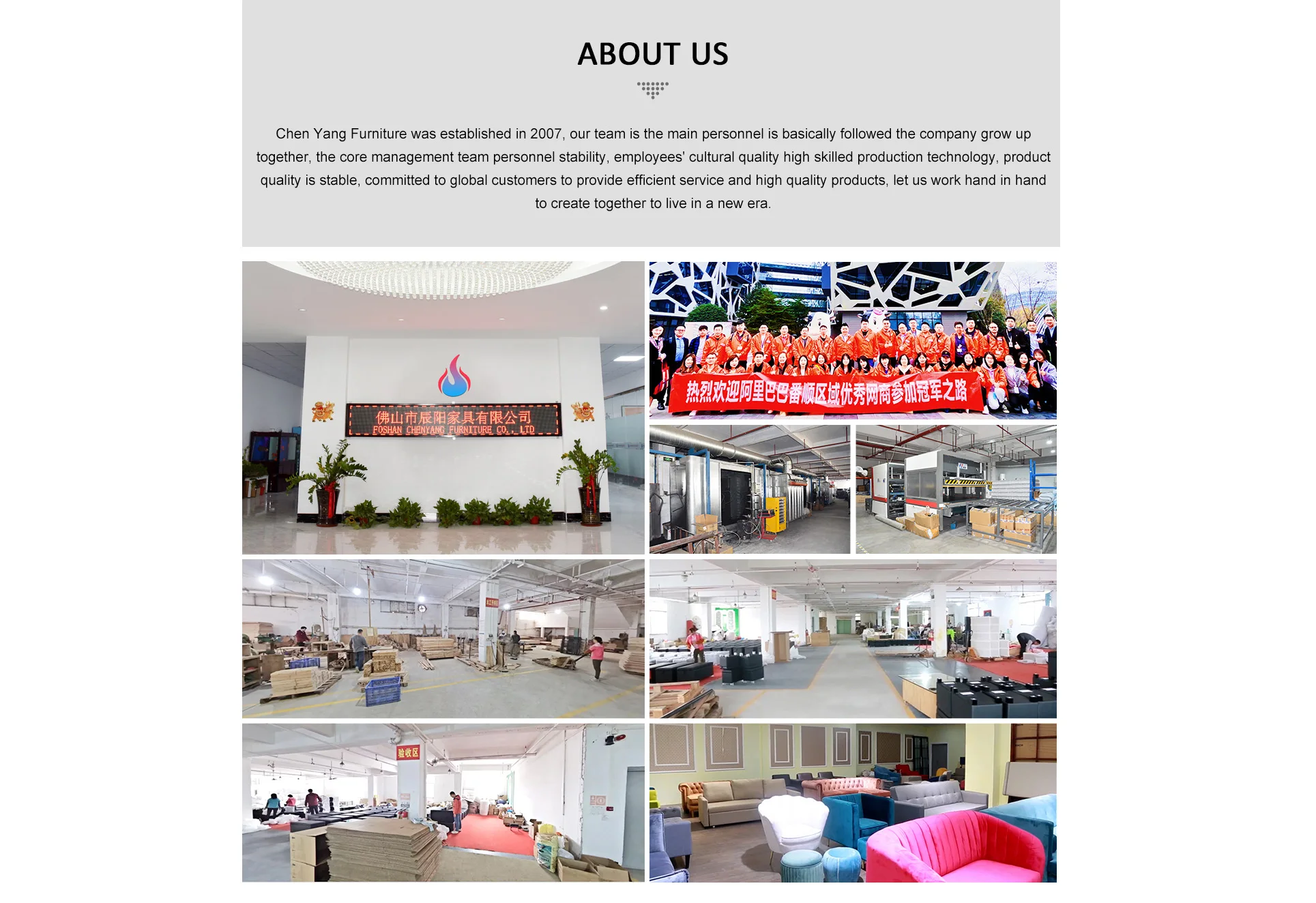 Foshan Chenyang Furniture Co., Ltd. - Software Furniture
