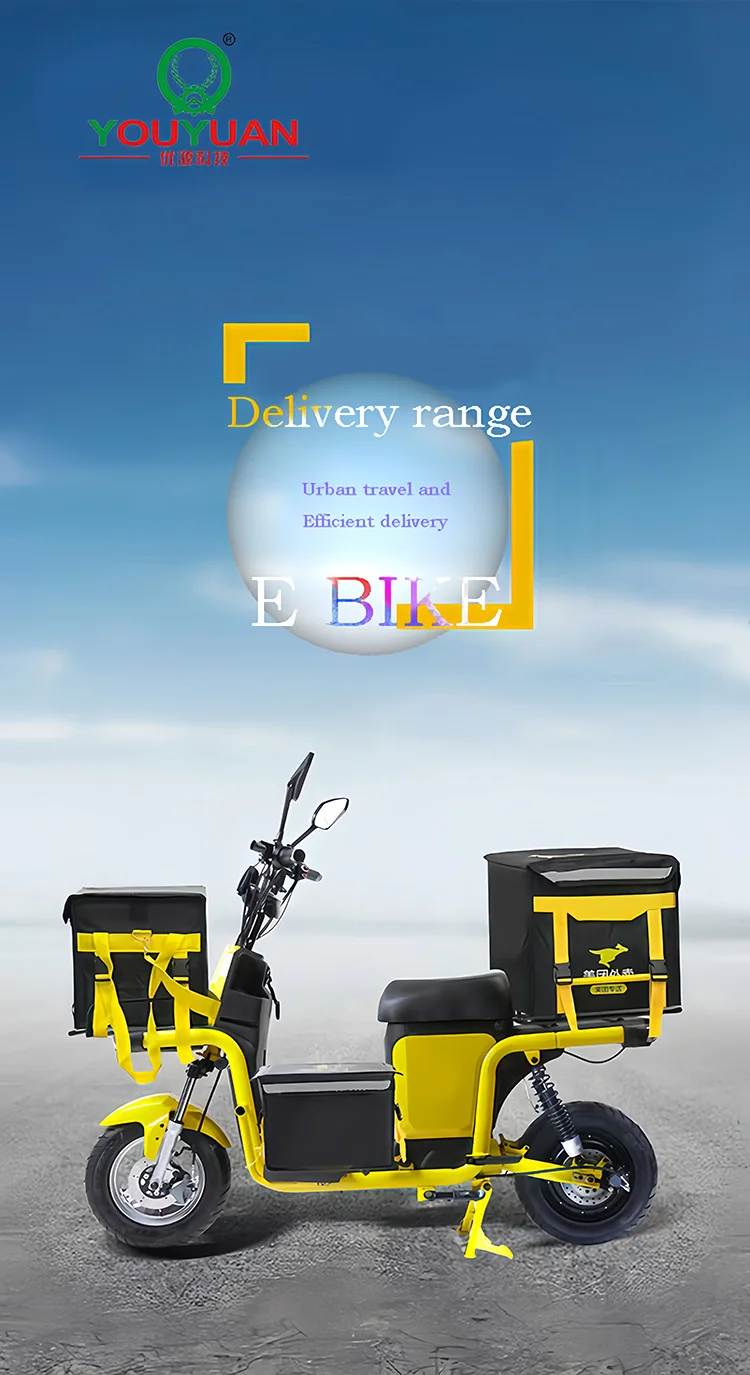 Y2-fd Electric Bike With 750w 48v Lead Acid Battery Hot Sale Delivery ...