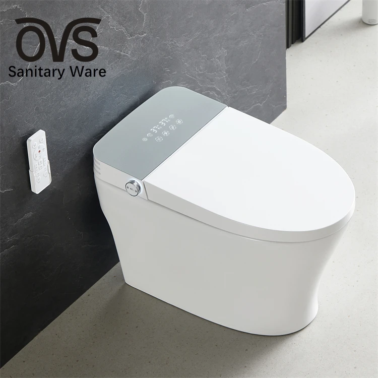 OVS Smart Toilets - Automatic, Floor Mounted & Intelligent