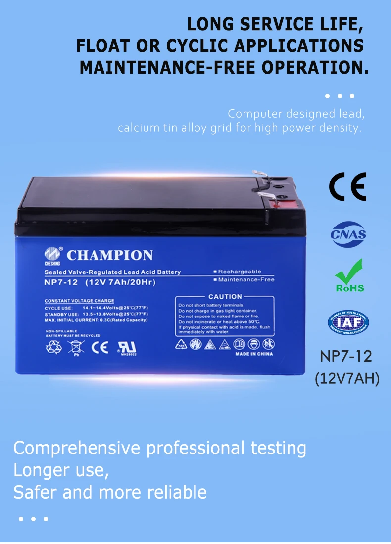 CHAMPION 12V Lead Acid Batteries - Reliable Power Solutions