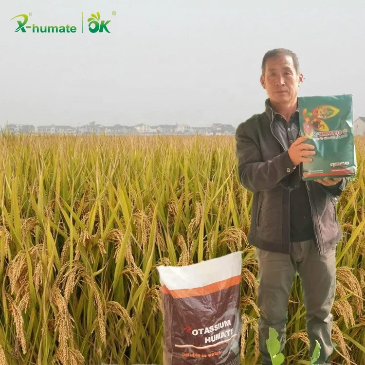 China Factory Supply Organic Fertilizer Humic Fulvic Acid Agricultural ...