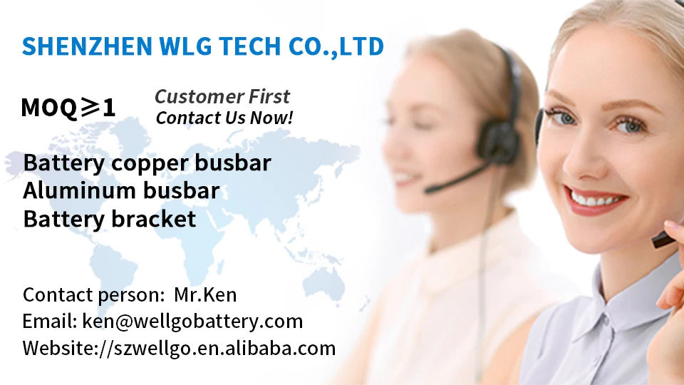 Wellgo Custom 48 Volt 100ah 120ah 150ah Lifepo4 Electric Boat Lithium ...