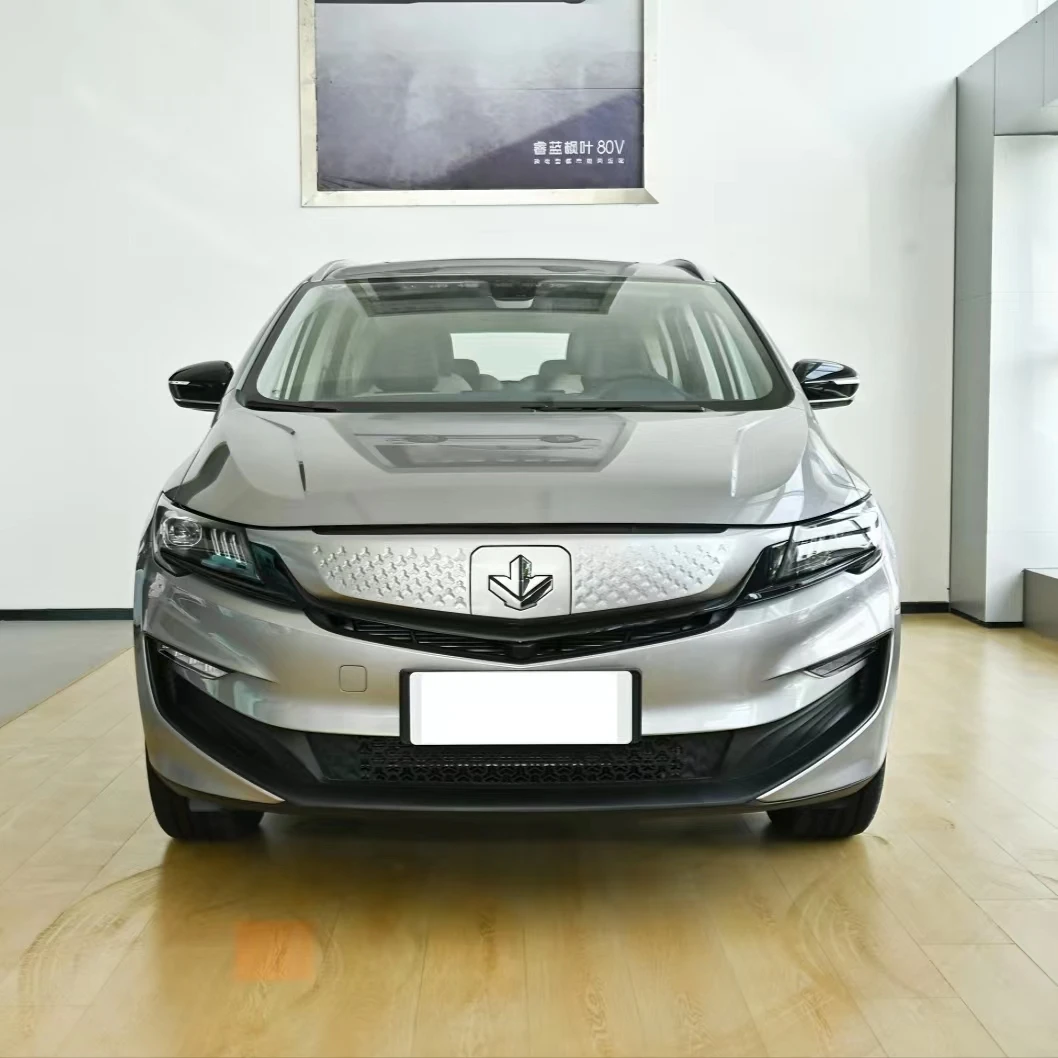Geely Ruilan Maple Leaf 80v Pro Adult Car Adult Mpv High Speed New Design Vehicles Electric Car ...