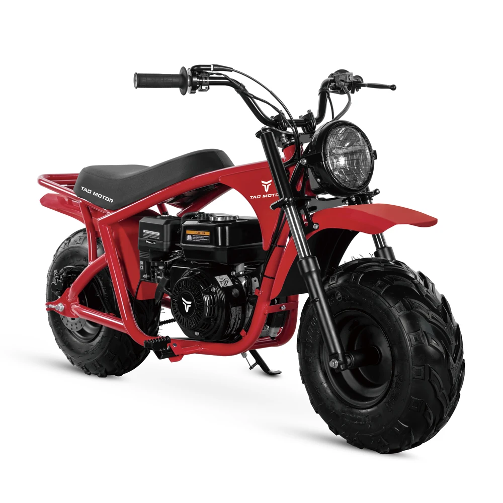 Tao Motor 2023 Kids Petrol Mini Dirt Bike - 200cc Fun