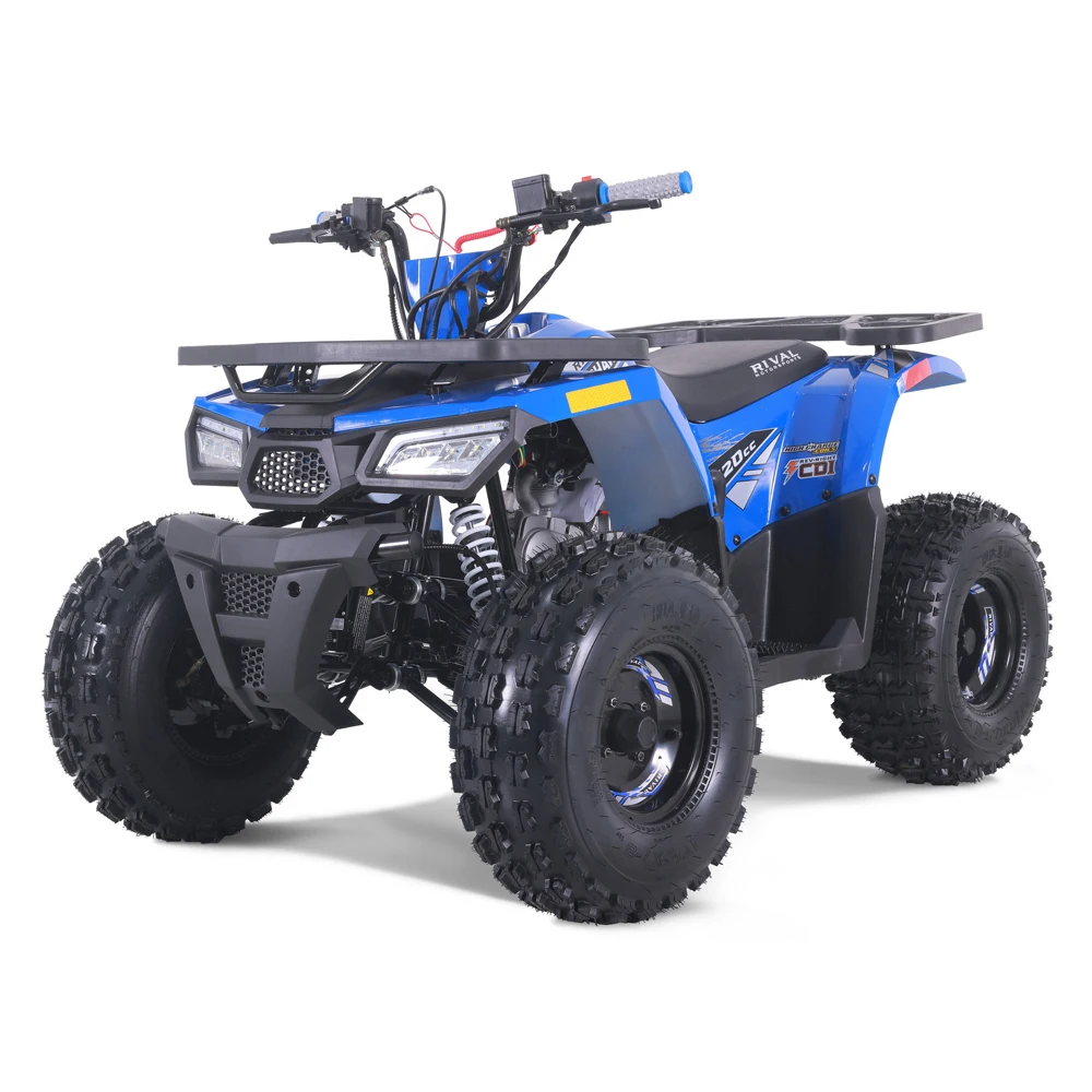 Tao Motor 2024 New Cheap Farm Atv Automatic Chain Drivequad Kids 110cc ...