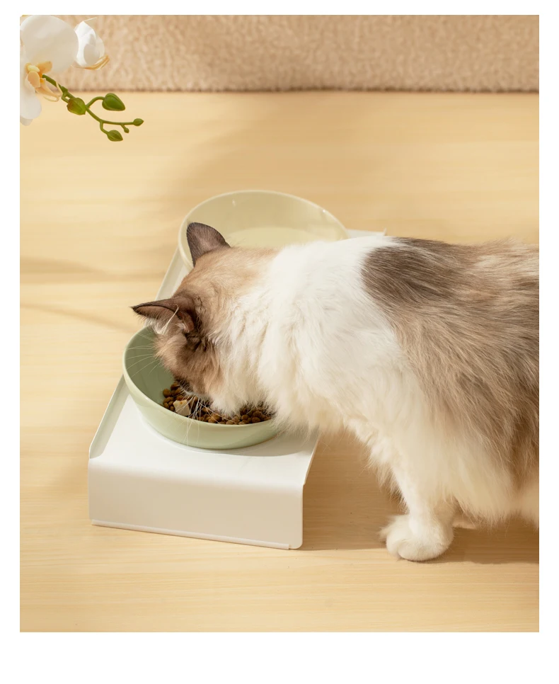 Shamitao Eco-Friendly Ceramic Raised Dog Bowl with Adjustable Angle Non ...