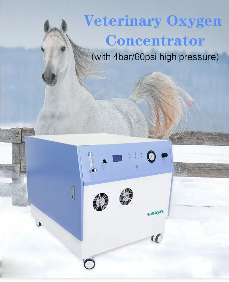 Veterinary Clinic Equipment 20l High Pressure Vet Oxygen Concentrator ...