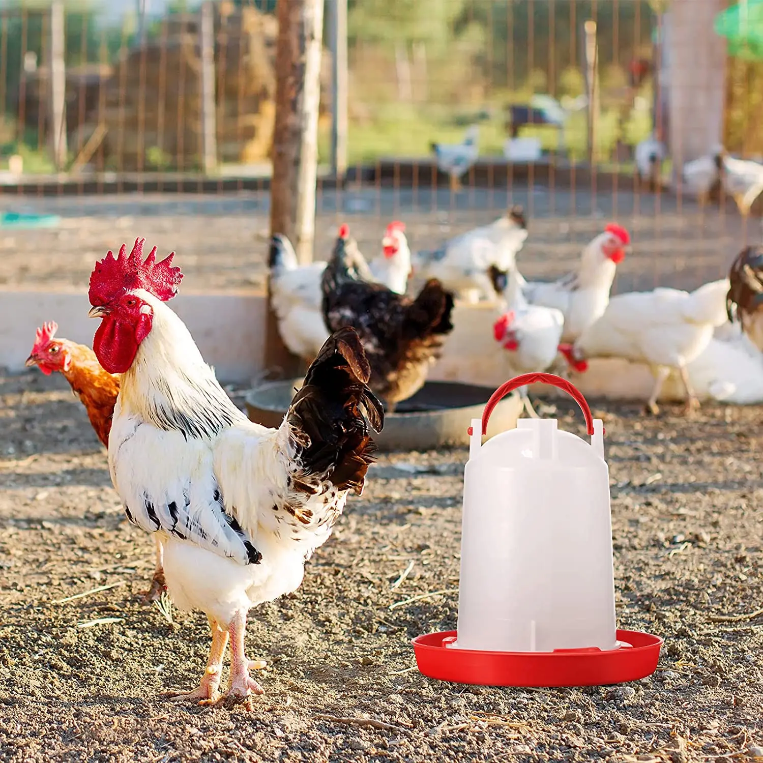 Chicken Feeder with 1.5kg 3kg 6kg 9kg Manual Feeding Bucket for Chicken ...