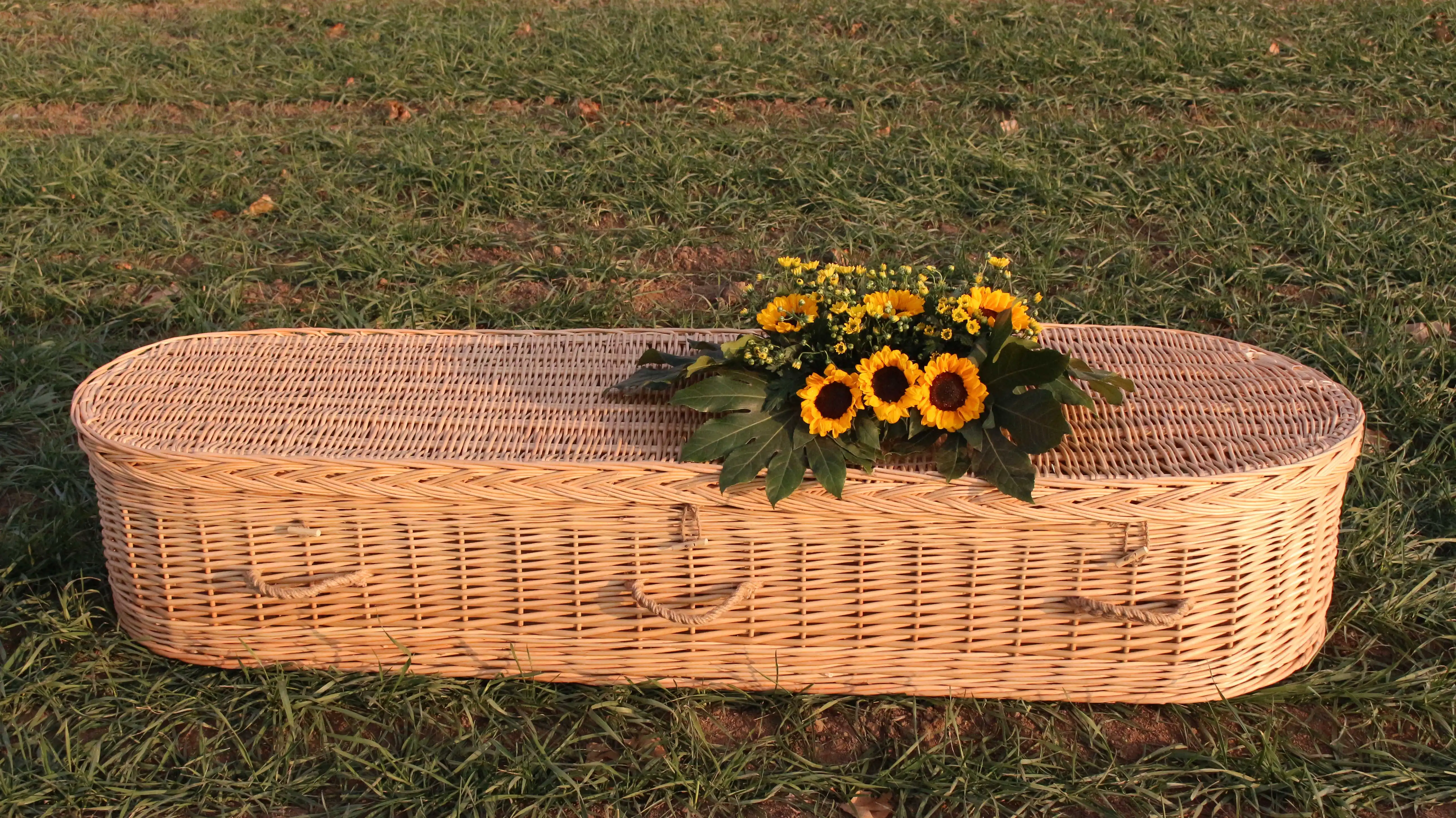 Oem Eco-friendly Biodegradable Funeral Plant Curved Willow Coffin For ...