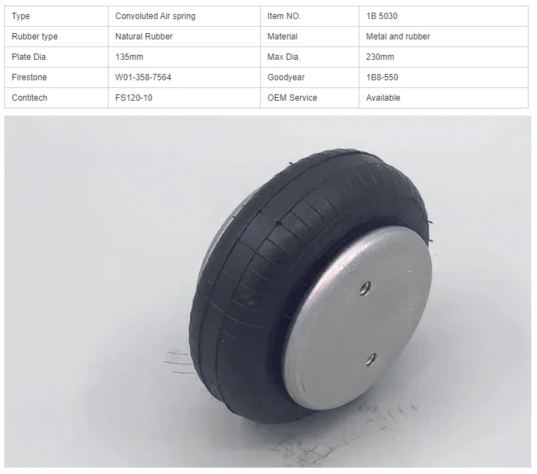 Air Spring Suspension for Bus 1B 5030 - Firestone W01-358-7564