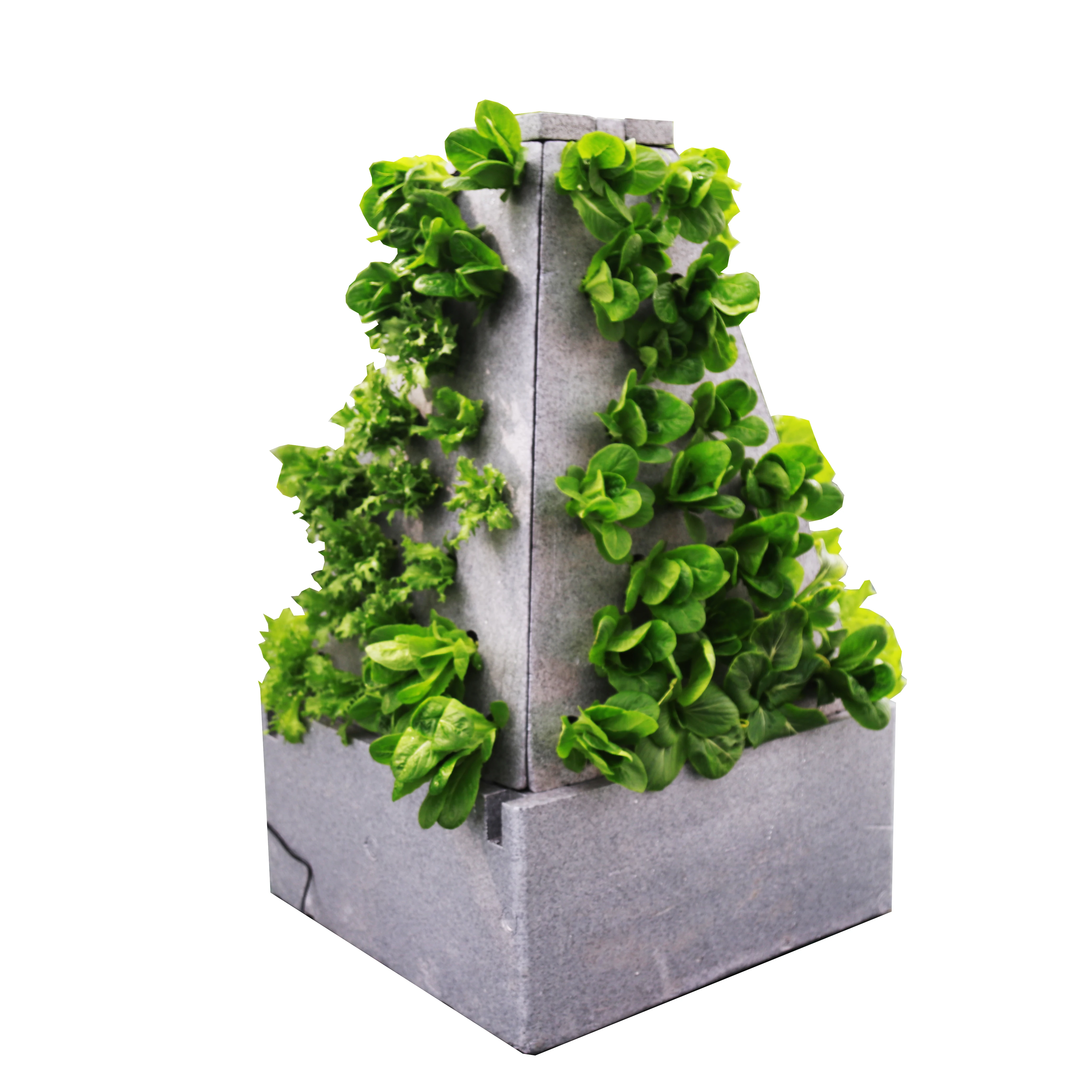 Skyplant New Pyramid Aeroponics System For Growing Vegetables Towers ...