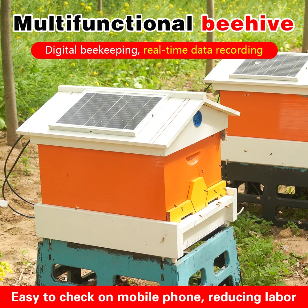 Alibaba.com: Witbee Smart Bee Hive with solar panel and digital monitoring for data-driven ...