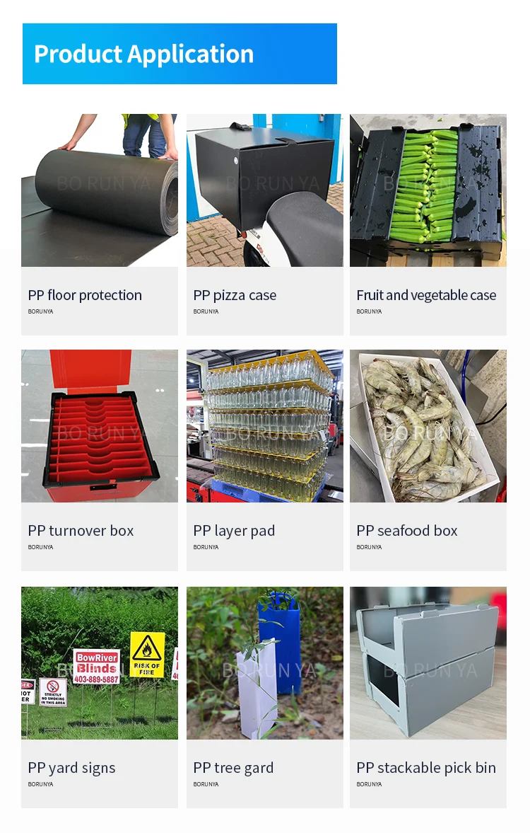 Wholesale High Quality Folding Pp Corrugated Corflute Corex Abalone ...