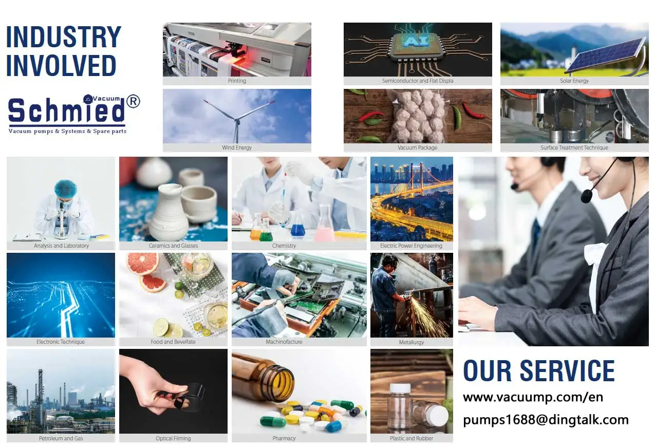 DVT Composite Dry Rotary Vane Vacuum Pump for Industrial Uses