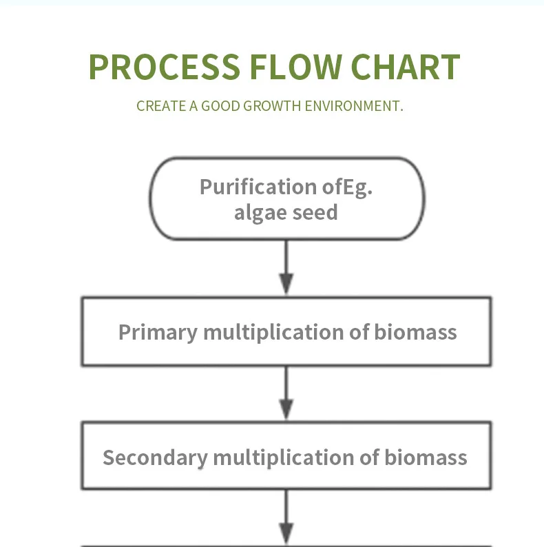 High Quality Euglena Gracilis Extract Naked Algae Powder - Buy Naked ...