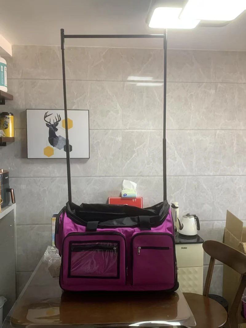 Free sample Garment Rack Dance Trolley Bag with Rolling Upright Luggage ...