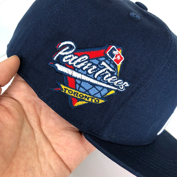 Shop Custom 6 Panel 3D Embroidery Hats for Men