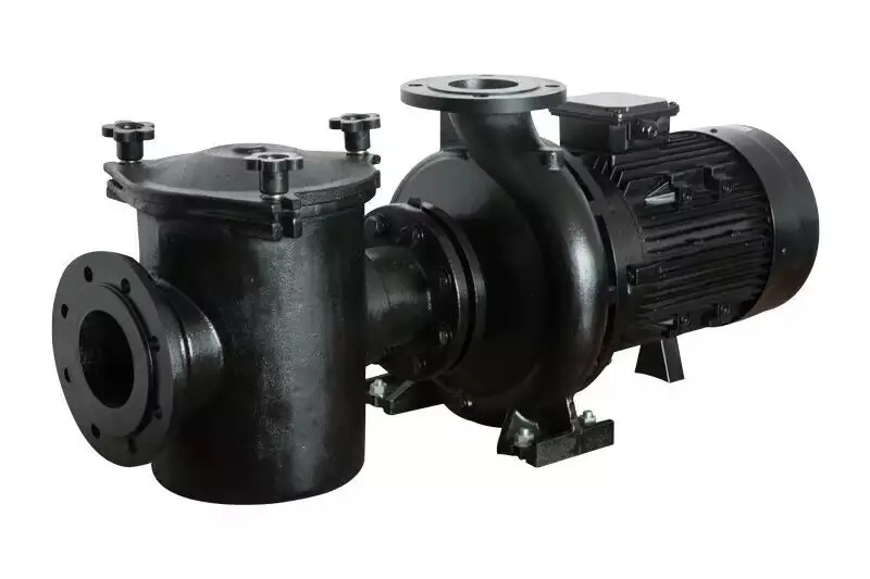 FDU Series Cast Iron Pool Pump/Water Pump| Alibaba.com