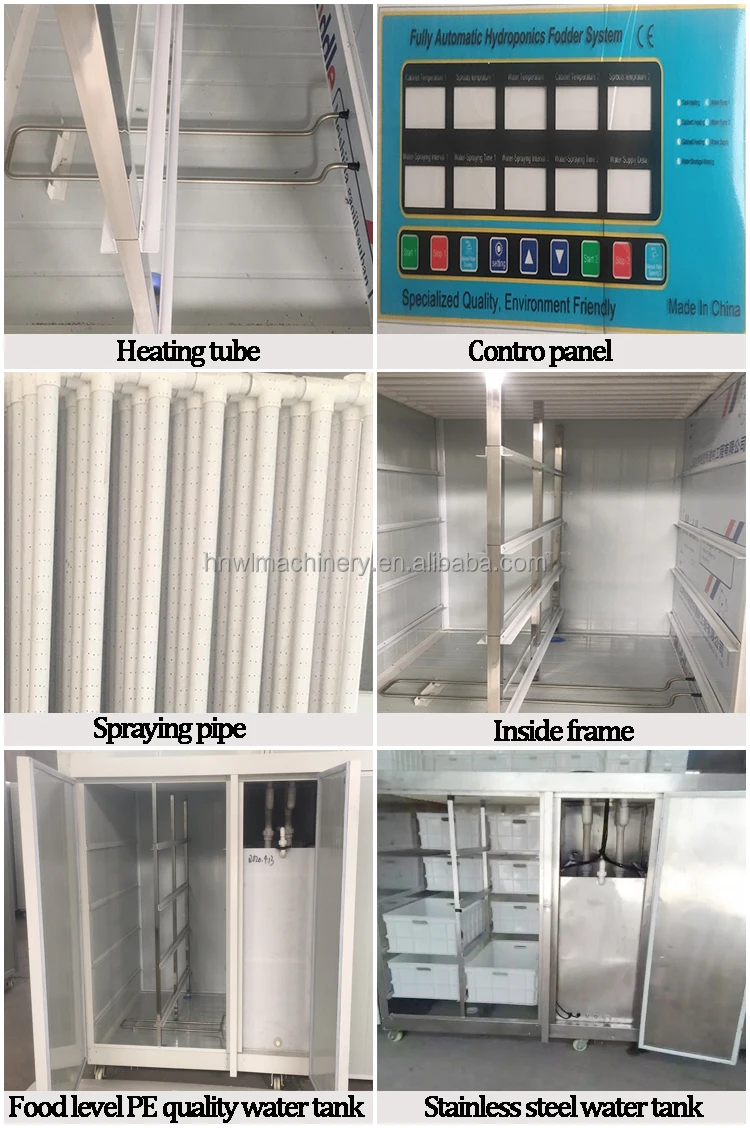 Bean Sprout Machine - Automatic Germination Equipment