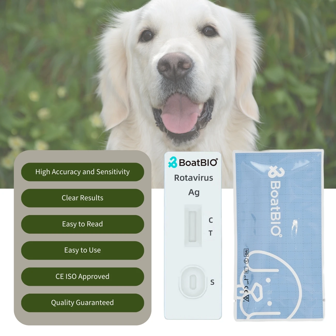 CE Certified Accurate Dog Disease Test Pet Health Canine Rotavirus Ag ...