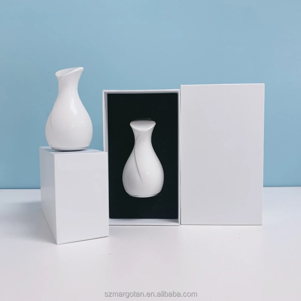 Face Ice Cooler Facial Cooling Therapy Tool Physical Massage For Face ...