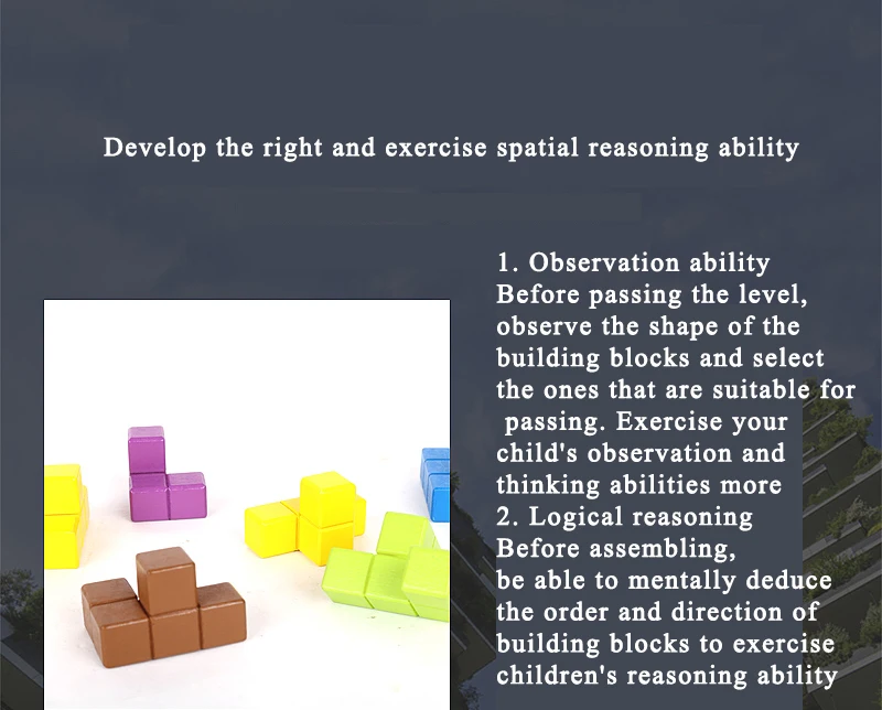 Japanese Montessori Developmental Brain Wooden Tower Building Block ...