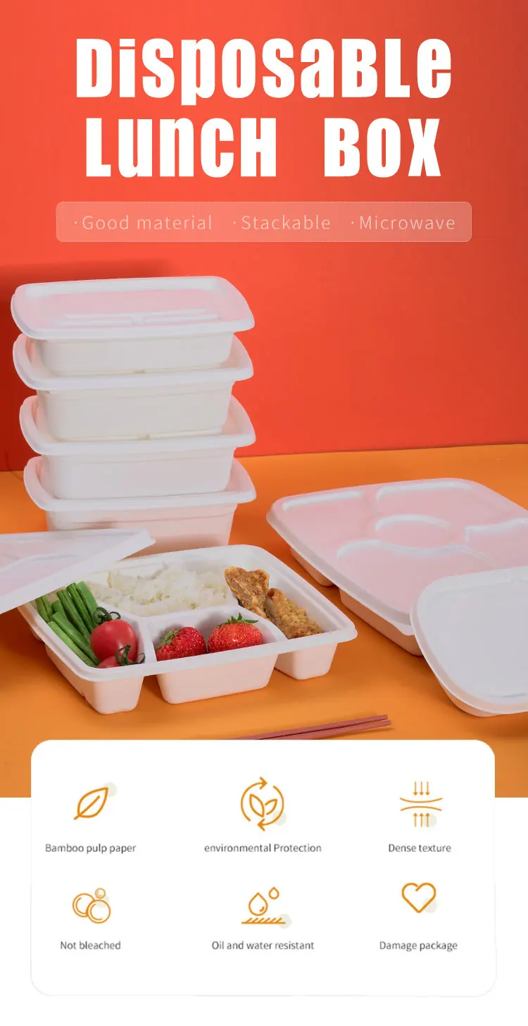 Rectangular Bagasse Food Container Ramekin Lunchbox With 5 Comp For ...