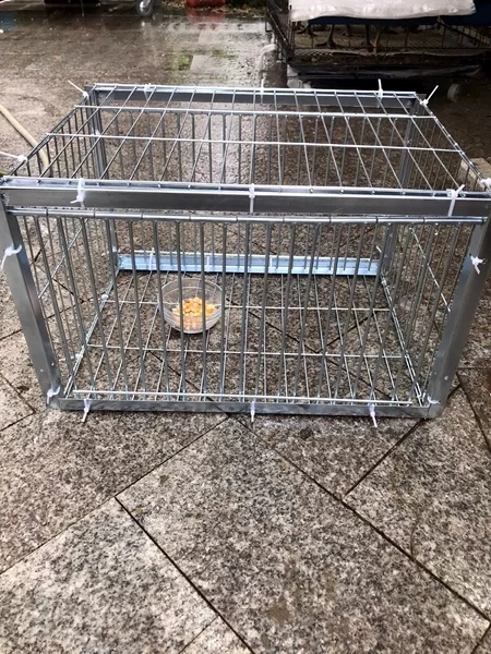 Foldable Galvanised Pigeon Bird Trap Cage - Humane Trapping