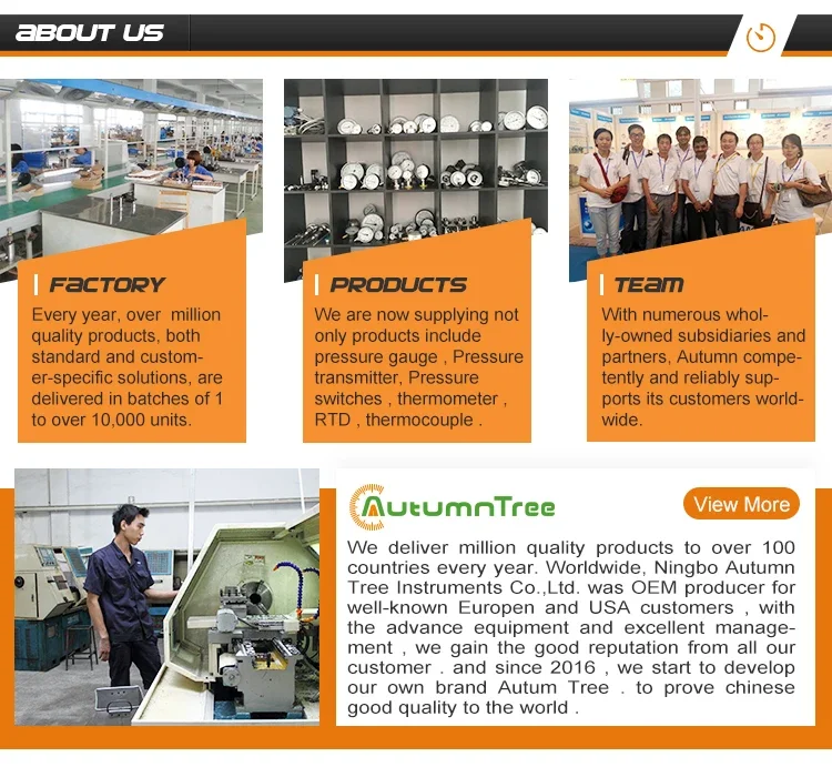 Direct Drive Gauge Used For Regulator Or Valves With Hilical Tube Or ...