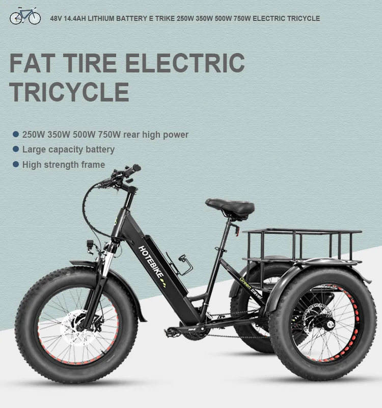 20 Inch Fat Tire Electric Trike 500W 750W Motor 48V 3 Wheel E Bike Tricycle Three Wheels Adult ...