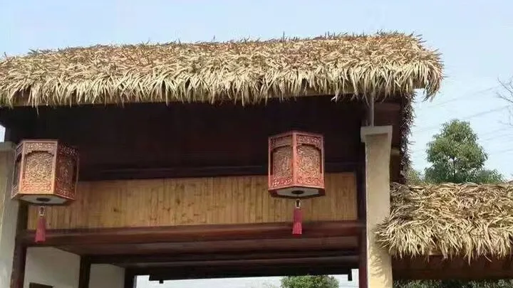 African Cape Reed Roofing Thatch - Buy Reed Roofing Thatch african ...