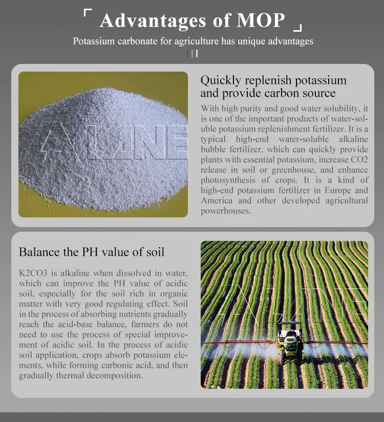 LANE Dissolve Quartzite and Sodium Chloride Together to Produce ...